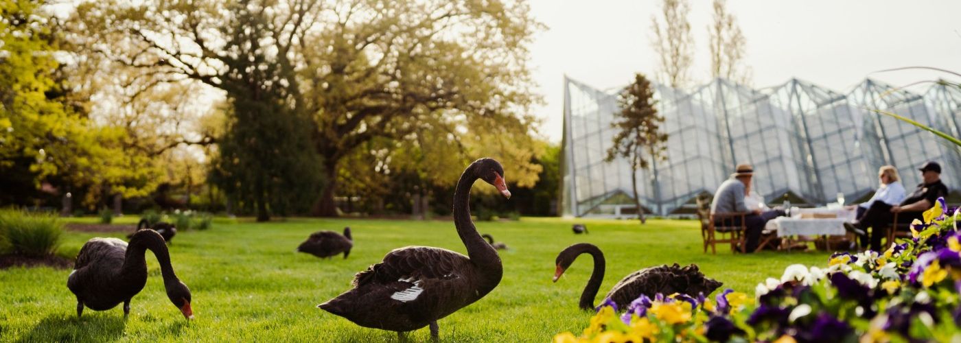 Ballarat Mastering Digital Marketing Program - Tourism Tribe