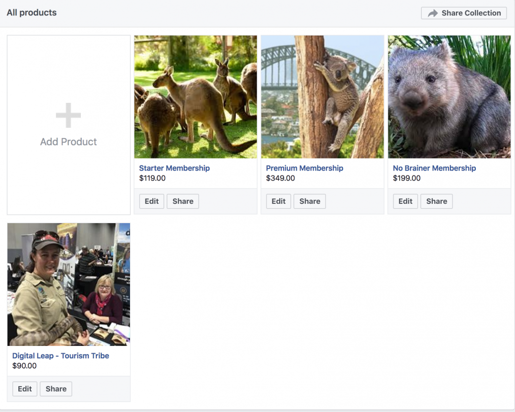 Thinking of selling your product on Facebook?, here is a step by step ...